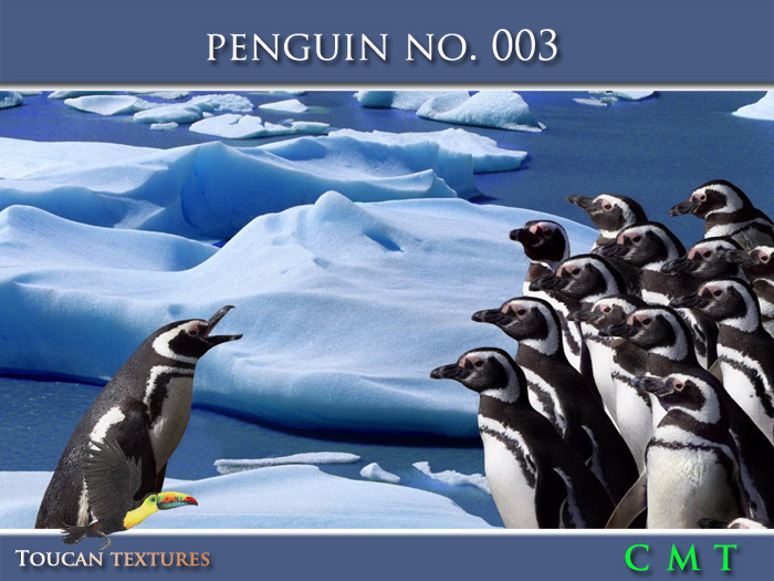 Second Life Marketplace - [Toucan Textures] Penguin No. 003