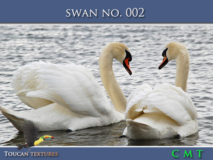 Second Life Marketplace - [Toucan Textures] Swan No. 002