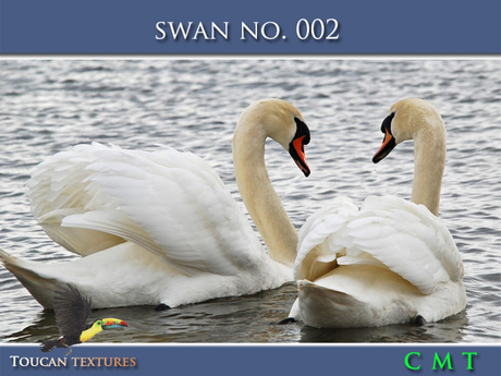 Second Life Marketplace - [Toucan Textures] Swan No. 002