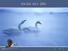 Second Life Marketplace - [Toucan Textures] Swan No. 006