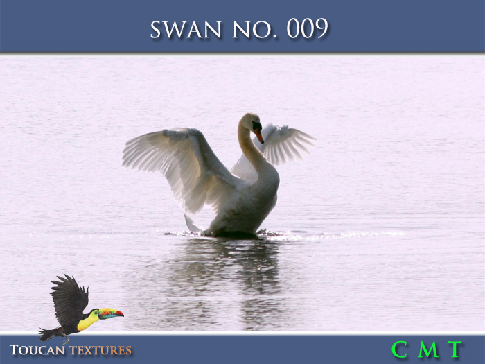 Second Life Marketplace - [Toucan Textures] Swan No. 009