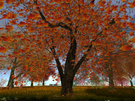 Second Life Marketplace - 3 Trees and 2 Flowers - Low Price - Autumn ...