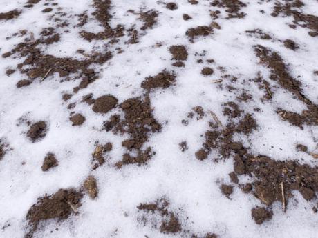 Second Life Marketplace - Snow on Ground 1: Personal Use (An original ...