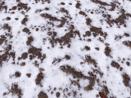 Second Life Marketplace - Snow on Ground 1: Personal Use (An original ...