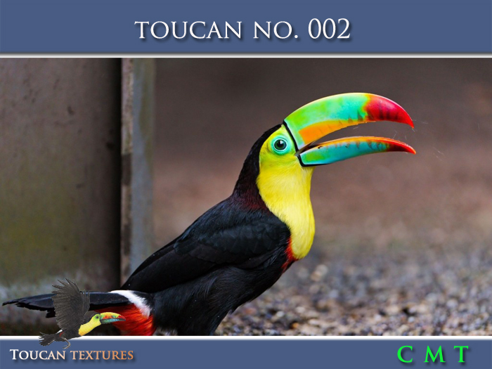 Second Life Marketplace - *** PROMO *** [Toucan Textures] Toucan No. 002