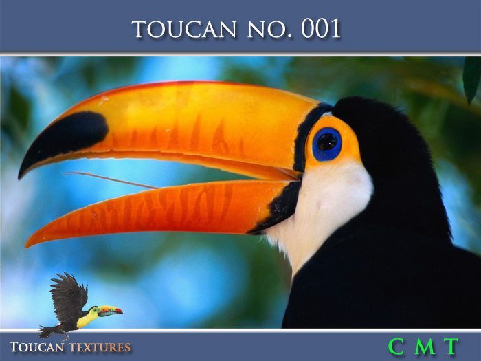 Second Life Marketplace - *** PROMO *** [Toucan Textures] Toucan No. 001