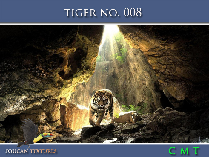 Second Life Marketplace - [Toucan Textures] Tiger No. 008