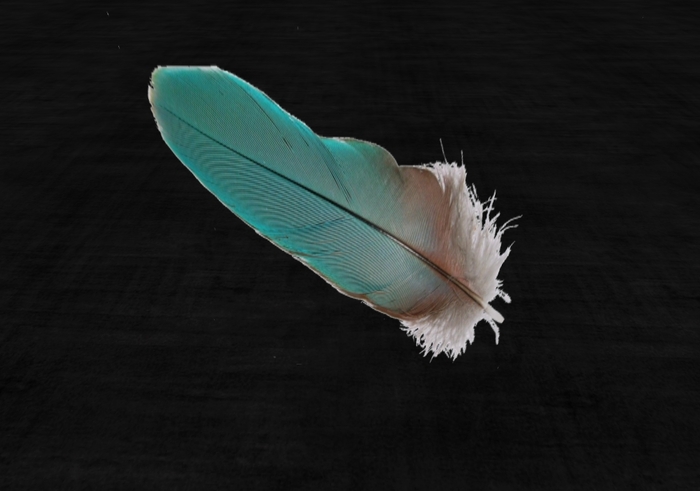 Second Life Marketplace - Mw Feather alphas full modify Textures x 5
