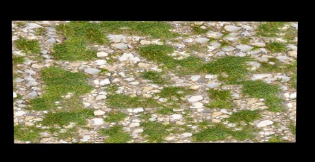 Second Life Marketplace - Dirt Road Seamless Texture full perms