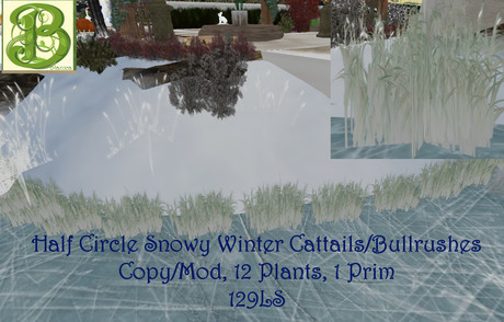 Second Life Marketplace - Cattails / Bulrushes - 12 Winter Plants, Half ...