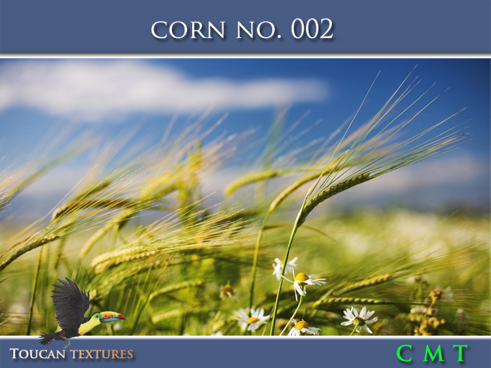 Second Life Marketplace - [Toucan Textures] Corn No. 002