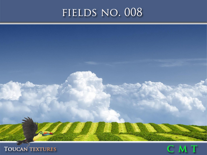 Second Life Marketplace - [Toucan Textures] Fields No. 008