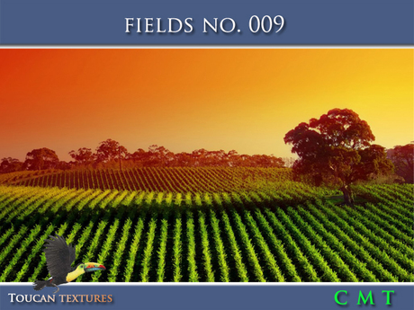 Second Life Marketplace - [Toucan Textures] Fields No. 009