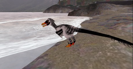 Second Life Marketplace - VELOCIRAPTOR ~ Mesh Dinosaur Avatar ...
