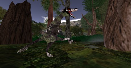 Second Life Marketplace - VELOCIRAPTOR ~ Mesh Dinosaur Avatar ...