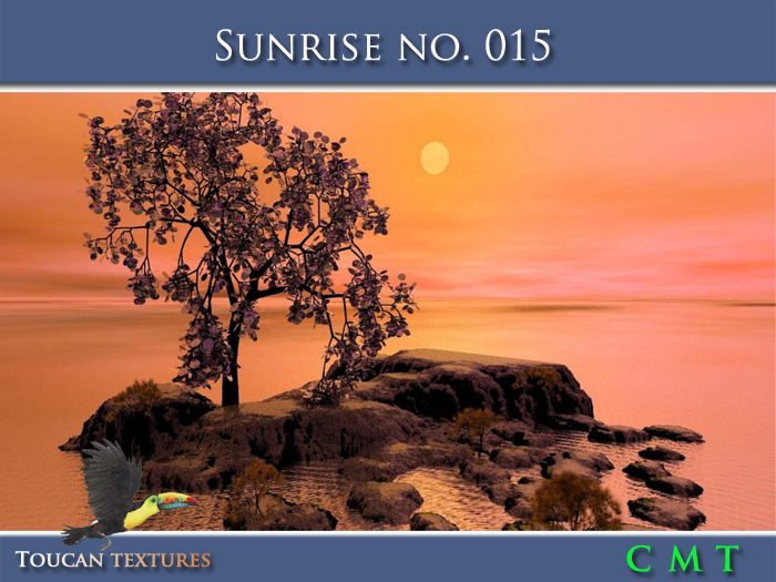 Second Life Marketplace - [Toucan Textures] Sunrise No. 015