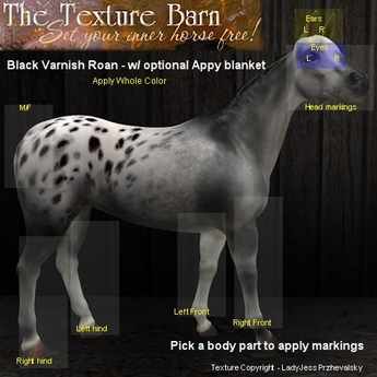 Second Life Marketplace - BC - Black Varnish Roan Texture Pack