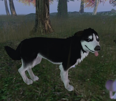 Second Life Marketplace - TWI Timber Wolf Avatar