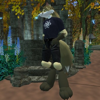 Second Life Marketplace - Wingless Emoto Avatars Ver 2.2 - Full Perms