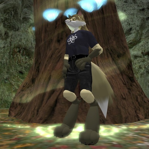 Second Life Marketplace - Wingless Emoto Avatars Ver 2.2 - Full Perms