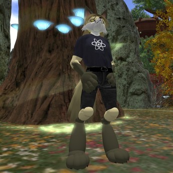 Second Life Marketplace - Wingless Emoto Avatars Ver 2.2 - Full Perms