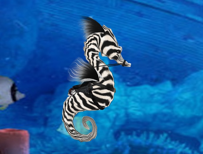 Second Life Marketplace - Karikko DIVER's Saddled Seahorse 1.3( ZEBRA ...