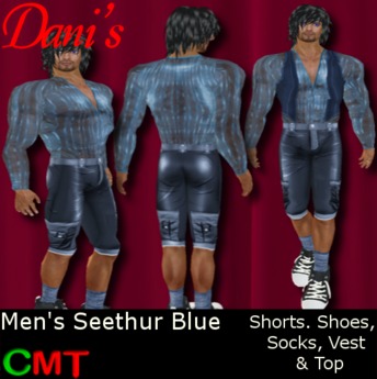 Second Life Marketplace - *Dani's* Men's Seethur Blue