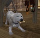 Second Life Marketplace - Doggy Puppy Biscuit