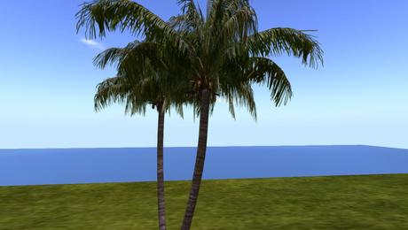 Second Life Marketplace - Palm Tree Copy/Mod