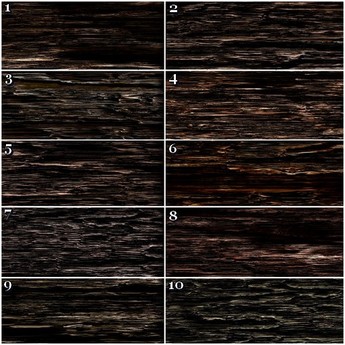 Second Life Marketplace - 10 Rotten wood textures 1024x1024 Seamless ...