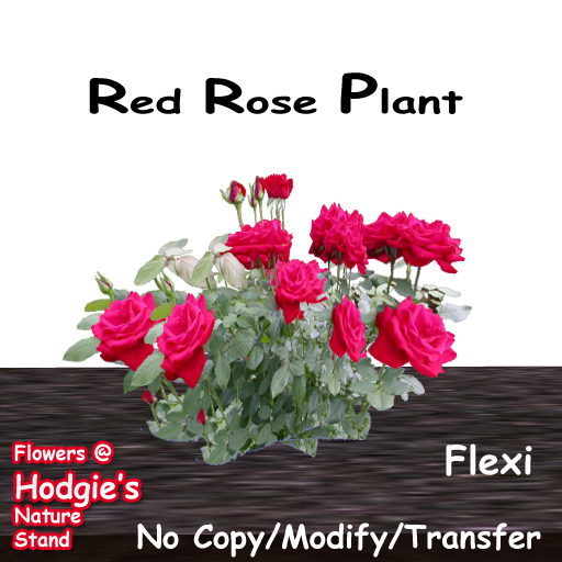 Second Life Marketplace - Hodgie's Flowers & Plants -- Red Roses Flexi ...