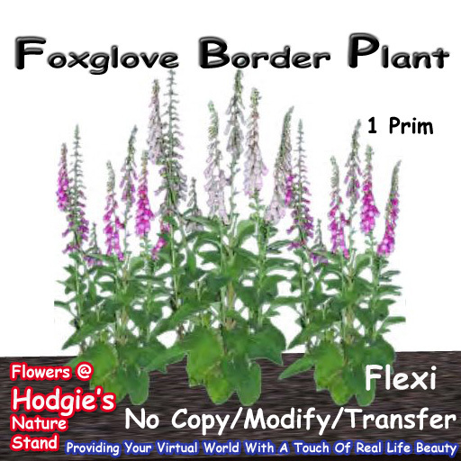 Second Life Marketplace - Hodgie's Flowers & Plants -- Foxglove Border ...