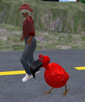 Second Life Marketplace - Wingsong Dojo Bird Companion Box