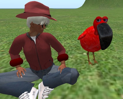 Second Life Marketplace - Wingsong Dojo Bird Companion Box