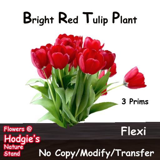 Second Life Marketplace - Hodgie's Flowers & Plants -- Spring Tulips ...