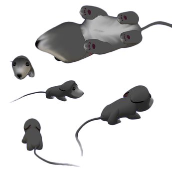 Second Life Marketplace - FFP Toy Mouse