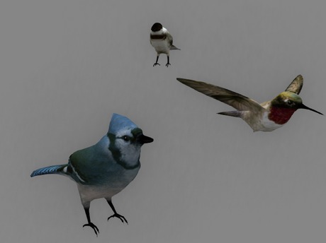 Second Life Marketplace - Small Birds - Mesh - Full Perm - Pack
