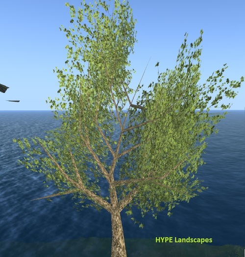 Second Life Marketplace - Deleon Tree - HYPE Landscaping