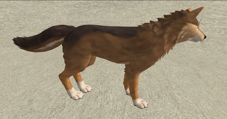 Second Life Marketplace - [:GW:] TWI Timber Wolf : Mod : Coyote [1] 75% OFF