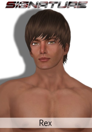 Second Life Marketplace - SIGNATURE [ REX ] Skin Set
