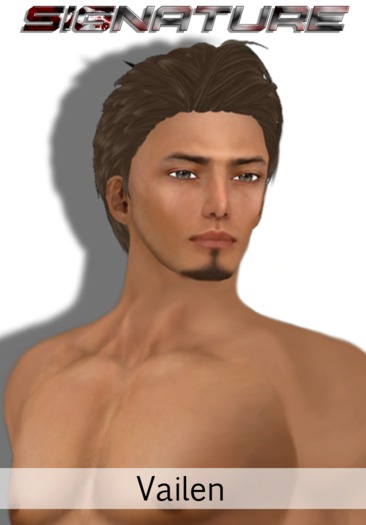 Second Life Marketplace - SIGNATURE [ VAILEN ] Skin Set