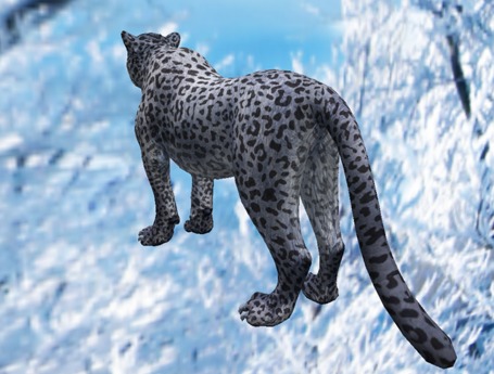 Second Life Marketplace - Snow Leopard - Mesh - Full Perm