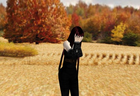 Second Life Marketplace - Hiding Face Priority 4