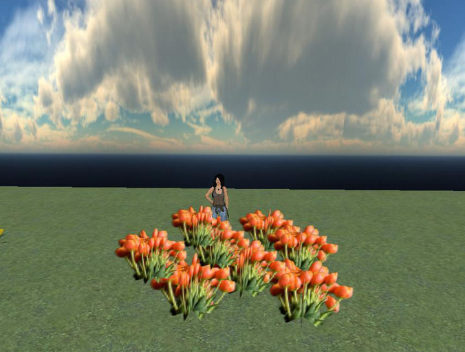 Second Life Marketplace - 8 Flower Grove Orange Tulips Straight Plants ...