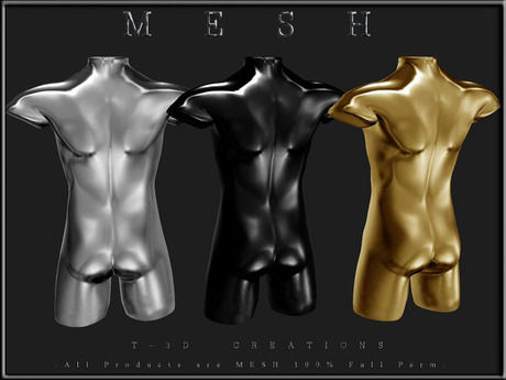Second Life Marketplace - T-3D Creations [ Display Man Body ] MESH ...