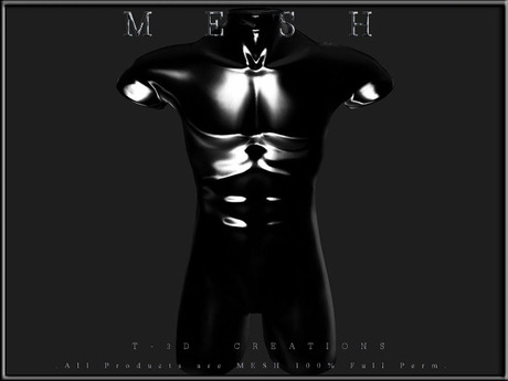 Second Life Marketplace - T-3D Creations [ Display Man Body ] MESH ...