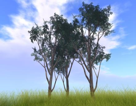Second Life Marketplace - Gum Trees - [Full Permissions Kit]