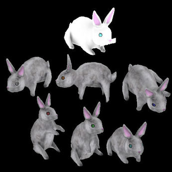 Second Life Marketplace - Mesh Bunny Rabbit