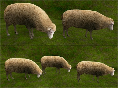 Second Life Marketplace - Sheep Pack - Mesh - Full Perm