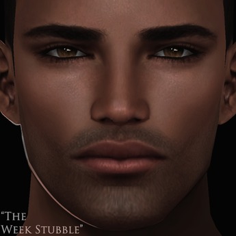 Second Life Marketplace - Labyrinth - Silver Skin (Sunkissed) - The ...